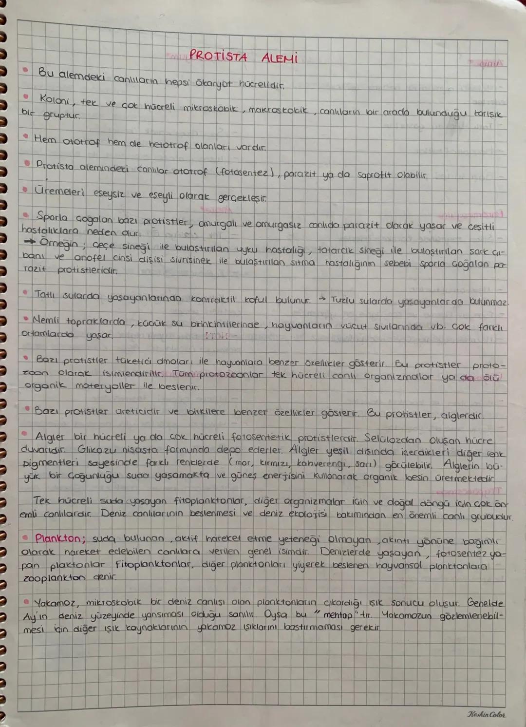 protista alemi (Biyoloji) - Knowunity