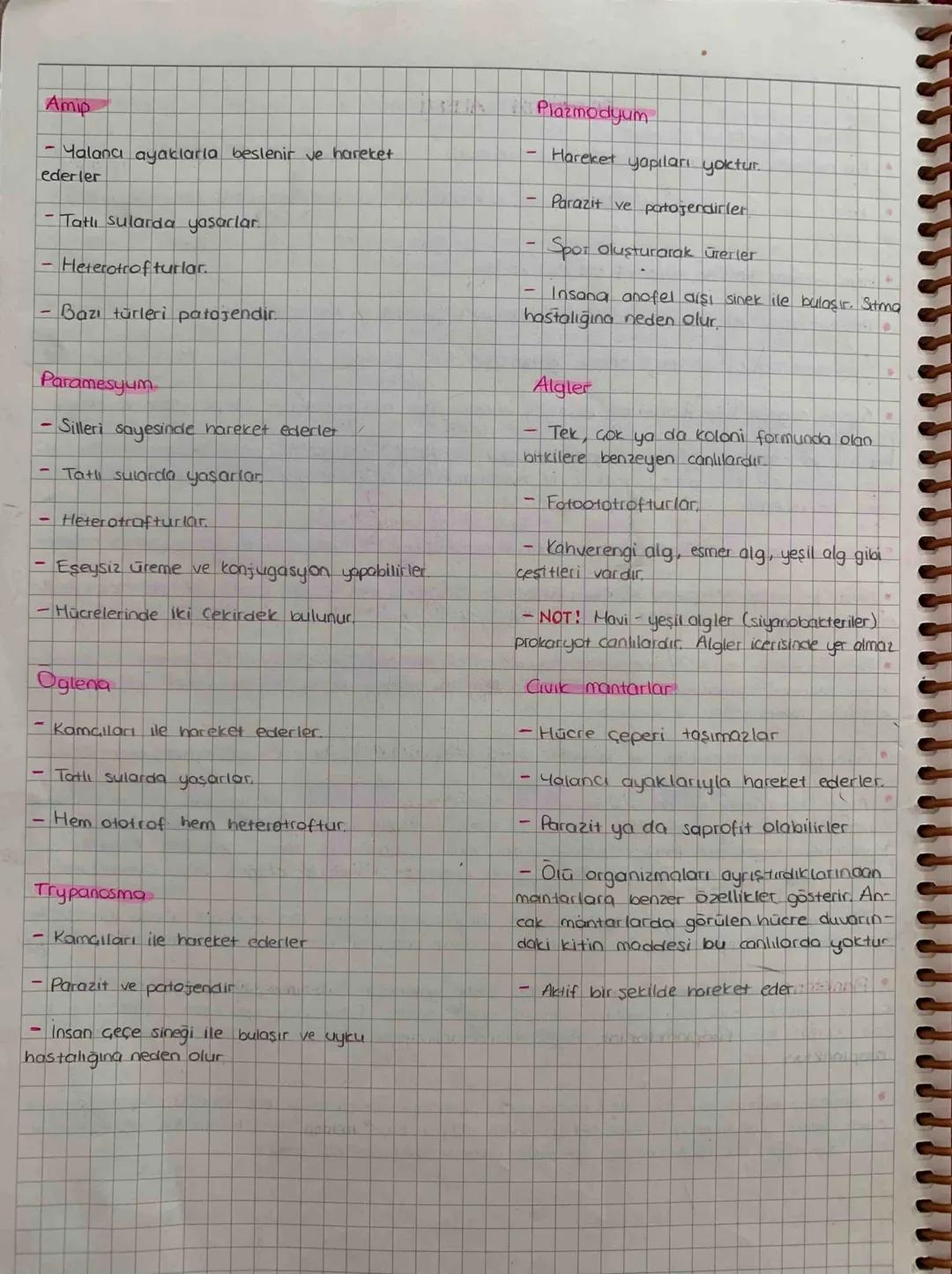 protista alemi (Biyoloji) - Knowunity